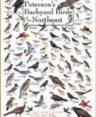 Mnemonic Bird Sounds Poster Eastern North America - Because Birds