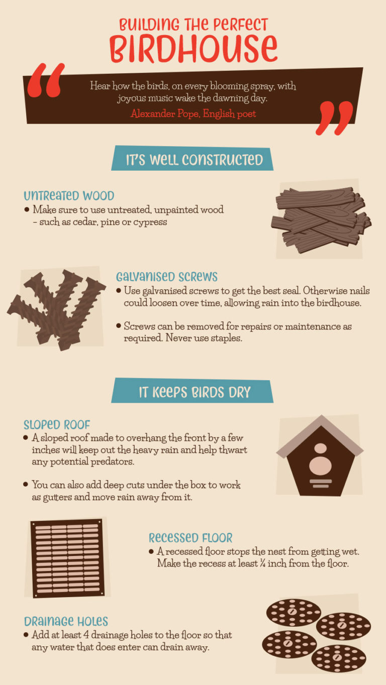 Guide: Building the Perfect Birdhouse - Because Birds