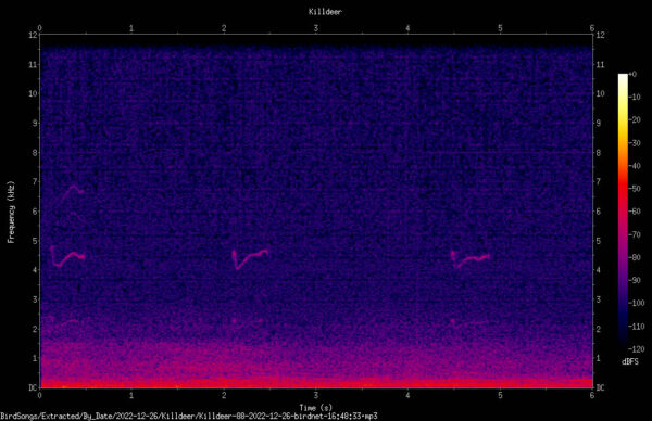 Fun Raspberry Pi project: Identify backyard birds 24/7 - Because Birds