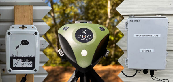 Bird auto-ID showdown: comparing bioacoustic monitoring stations