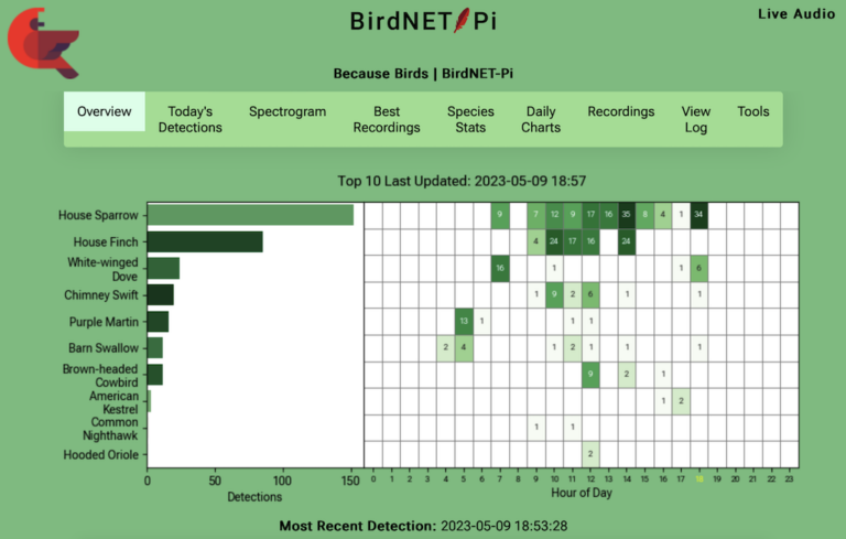 Bird auto-ID showdown: comparing bioacoustic monitoring stations