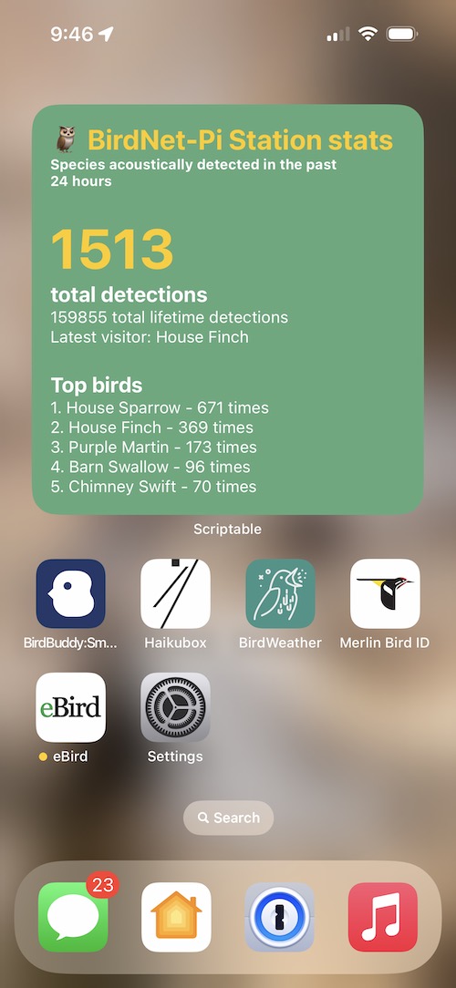 Create an iOS Scriptable widget to show backyard bird visitors