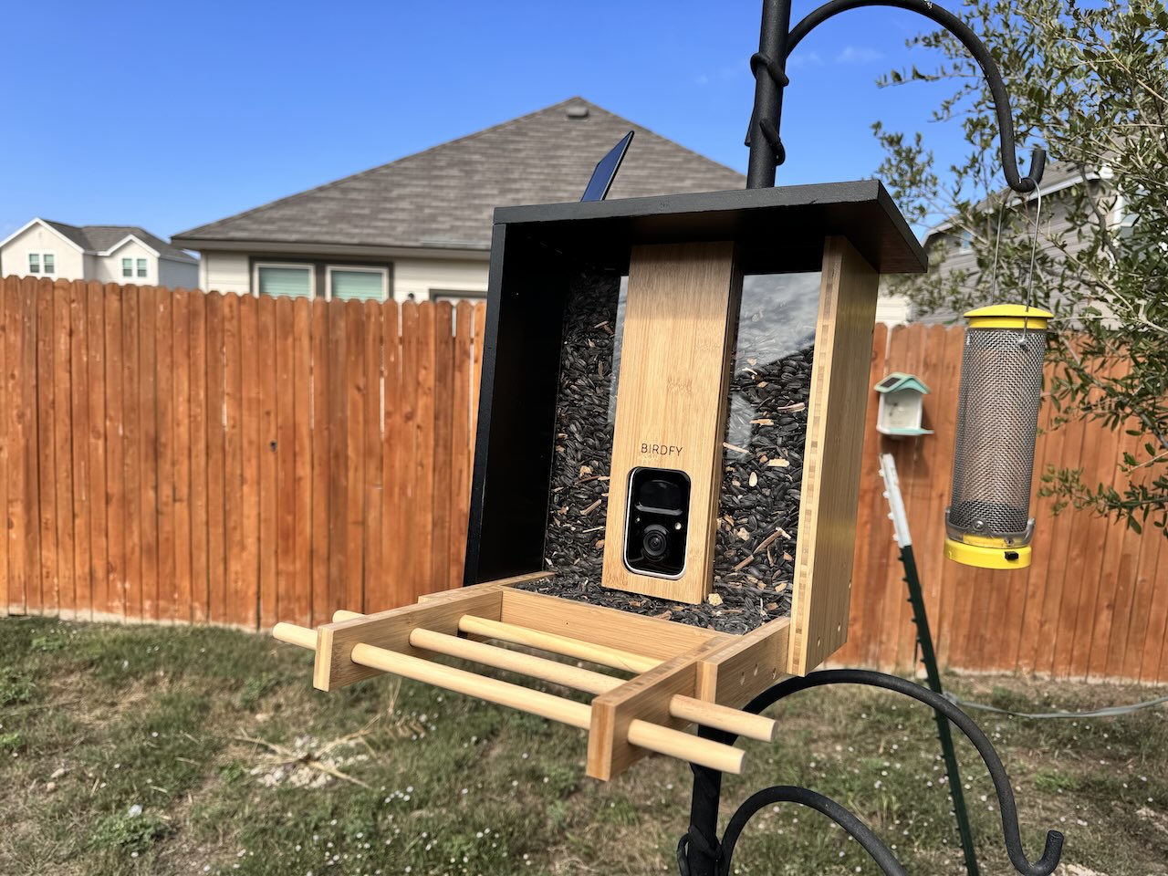 Premium Smart Bird Feeder Showdown: Birdfy Bamboo vs. Bird Buddy