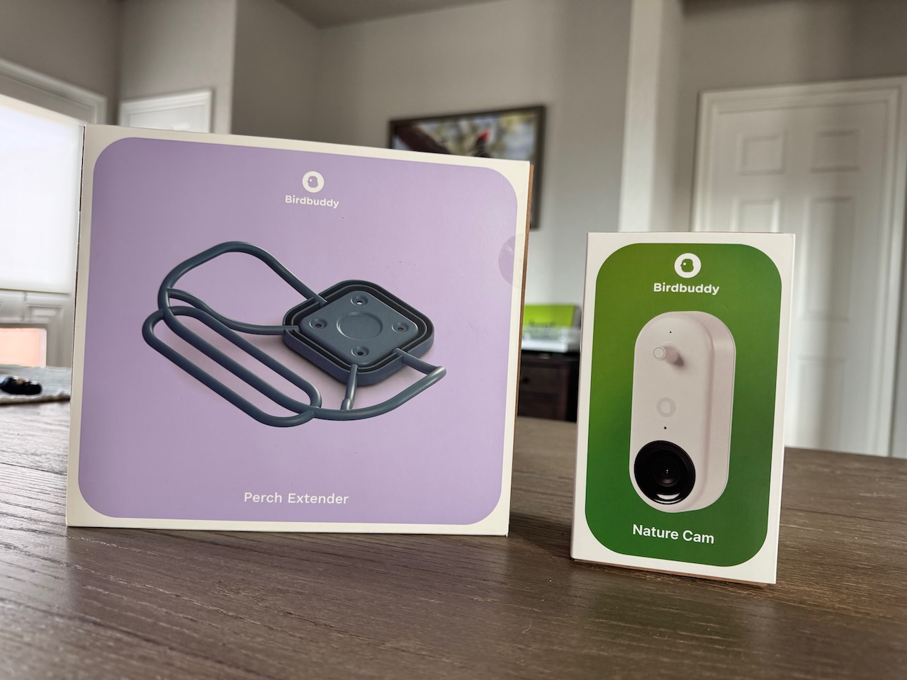 Bird Buddy Smart Bird Feeder PRO Review + 2 Years with the OG