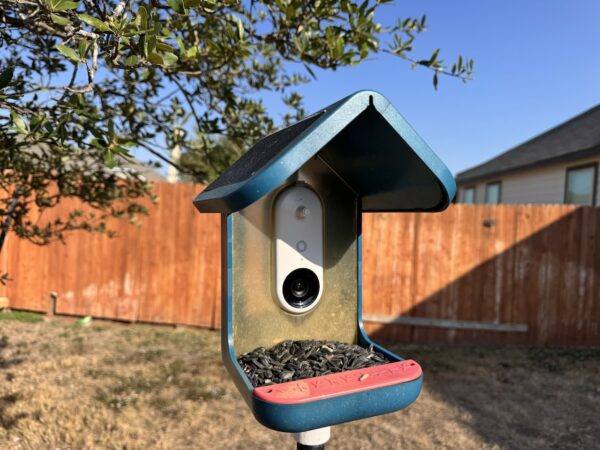 Bird Buddy Smart Bird Feeder PRO Review + 2 Years with the OG